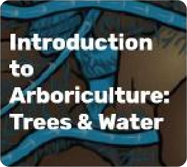 Introduction to Arboriculture - Trees and Water | ISA Prod